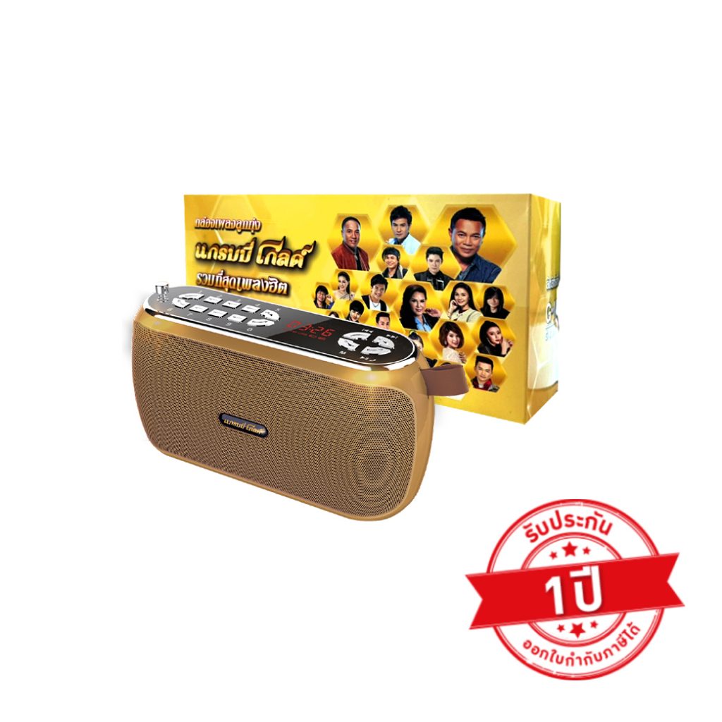 กล่องรับสัญญาณอินเทอร์เน็ต GMMZ รุ่น ZIPTV